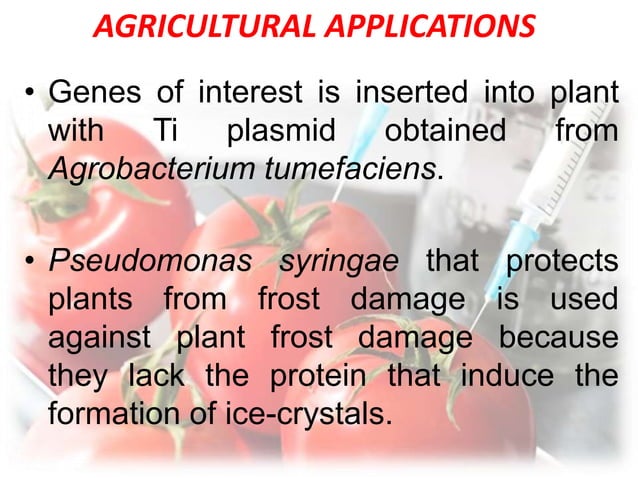Applications of Genetic Engineering | PPTX | Genetics | Science