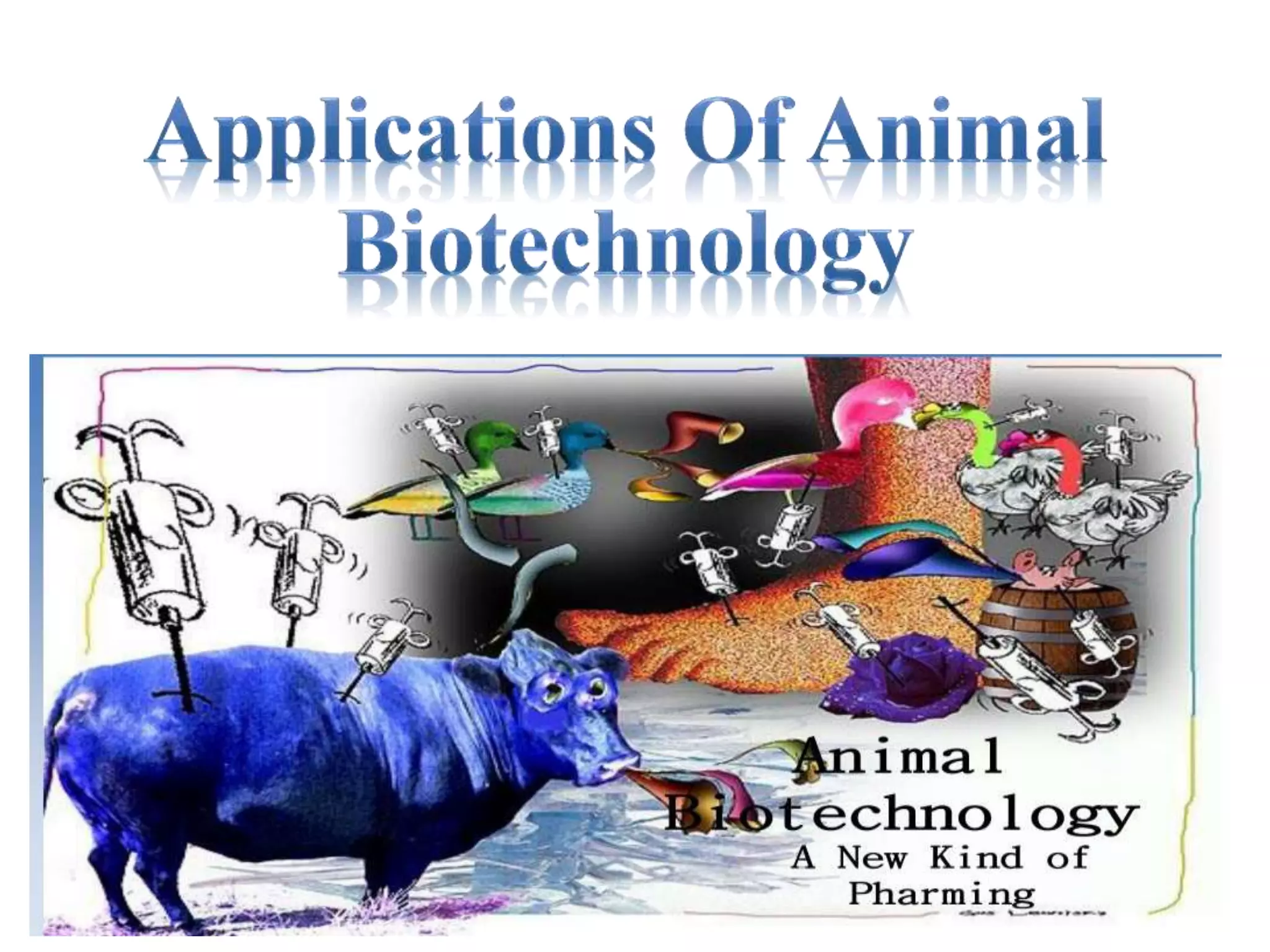 Applications of animal biotechnology | PPTX