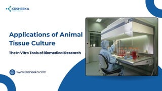 Applications of Animal Tissue Culture: The In Vitro Tools of Biomedical ...