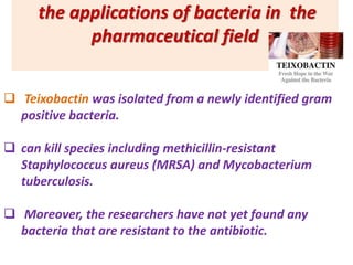 Applications of bacteria in biotechnology. | PPTX