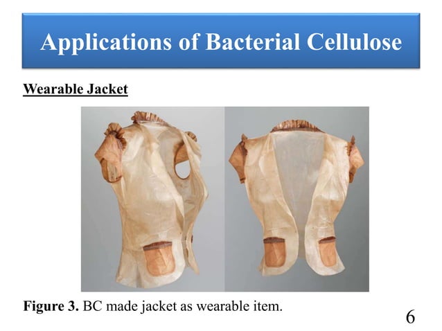 Applications of bacterial cellulose | PPTX | Chemistry | Science