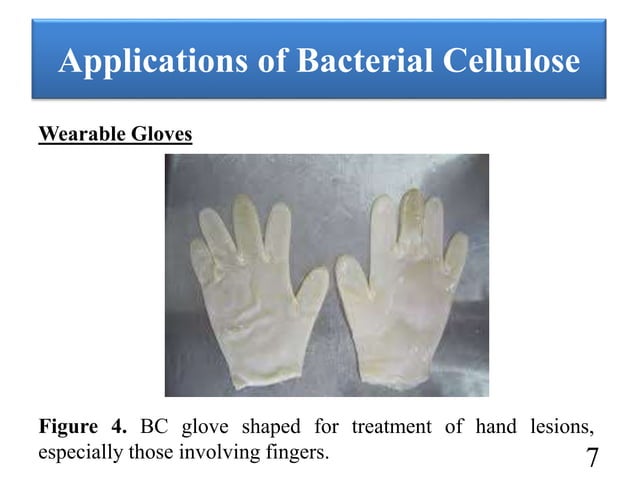 Applications of bacterial cellulose | PPTX | Chemistry | Science