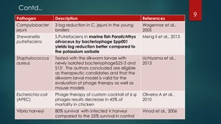 Applications of bacteriophages in food | PPTX