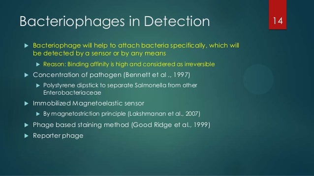 Applications Of Bacteriophages In Food