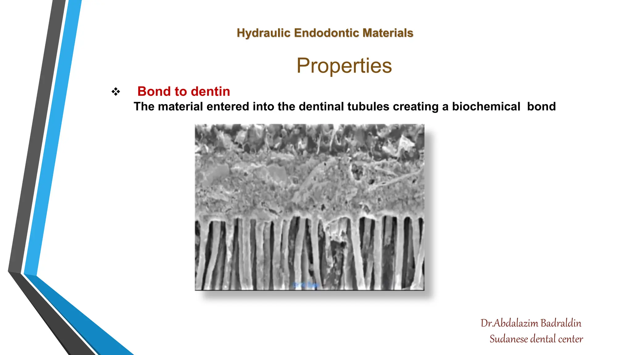 Applications of Bioceramic Materials in Endodontic Treatment.pptx