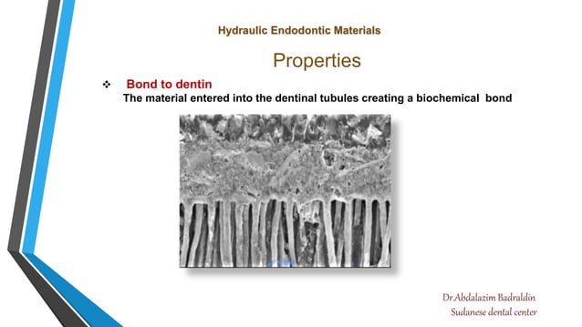 Applications of Bioceramic Materials in Endodontic Treatment.pptx