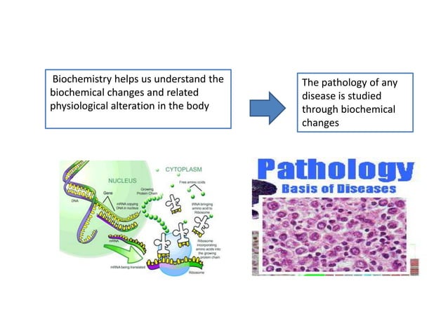 Applications of biochemistry | PPTX