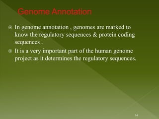 Applications of bioinformatics, main by kk sahu | PPTX