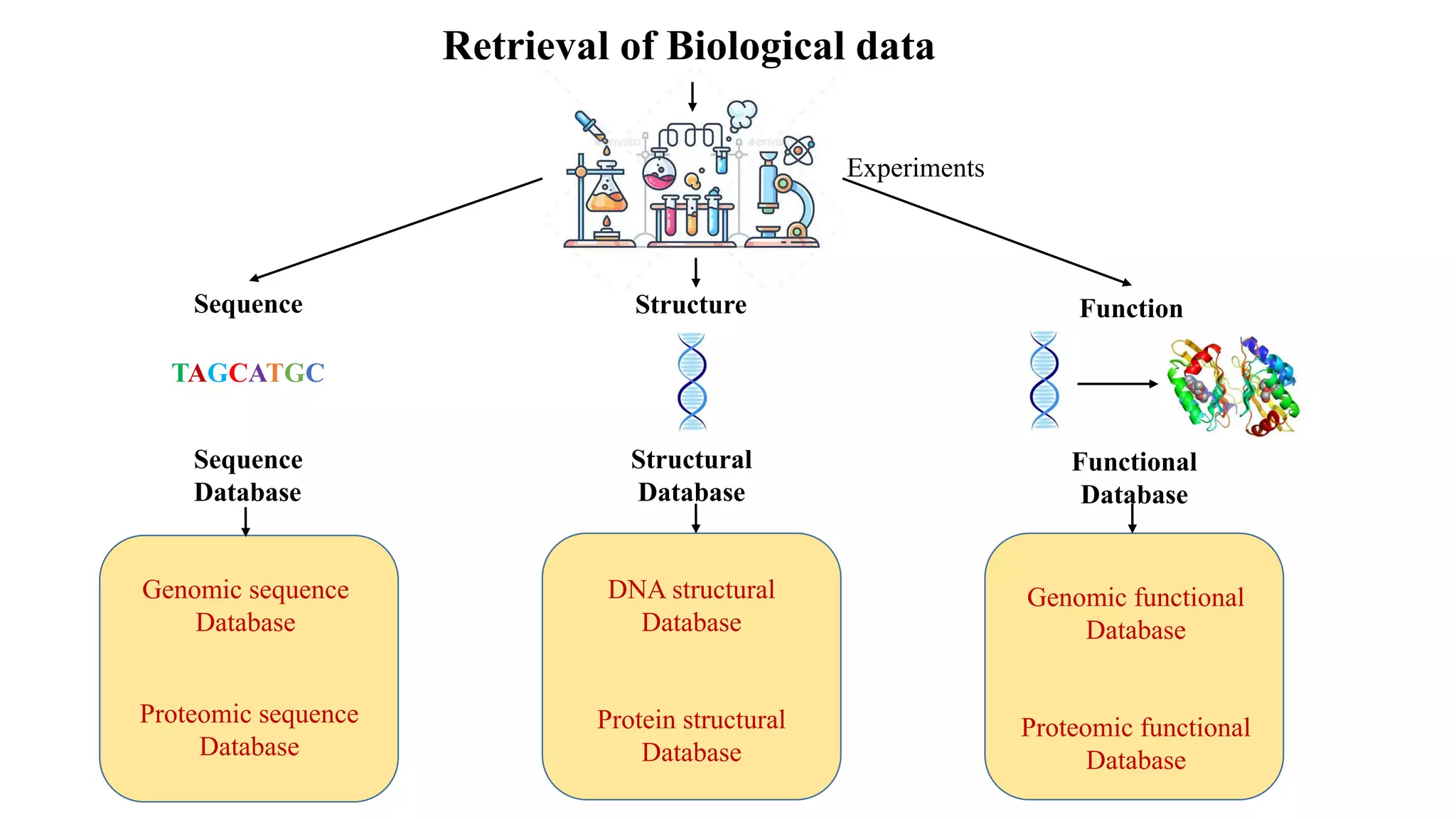 Applications Of Bioinformatics Pdf Genetics Science