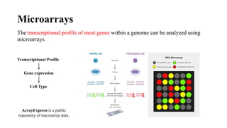 Applications of bioinformatics | PDF