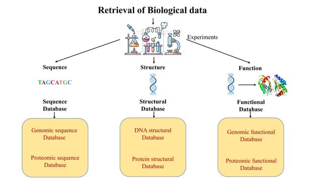 Applications Of Bioinformatics Pdf Genetics Science