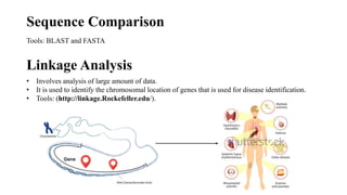 Applications of bioinformatics | PDF