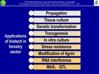 Applications of biotechnologies in the forestry sector. y.zheng | PPTX
