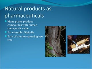 Applications of biotechnology | PPT