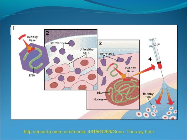 Applications of biotechnology | PPT