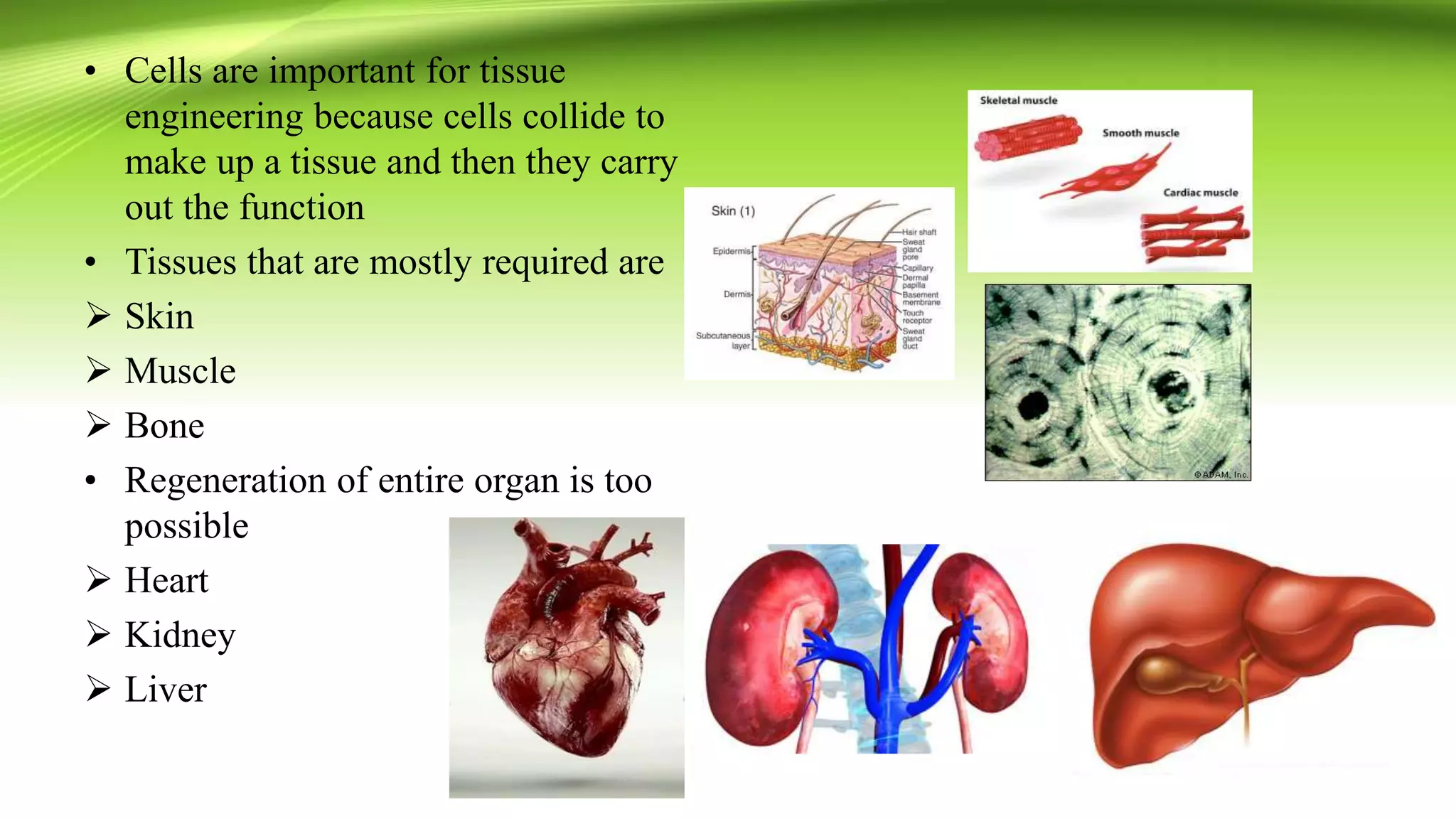 Applications of biotechnology | PPTX