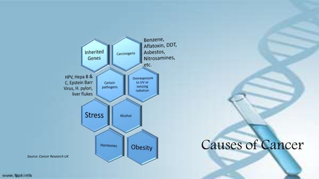 Applications of biotechnology in cancer | PPTX