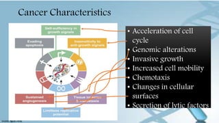Applications of biotechnology in cancer | PPTX
