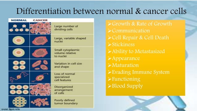 Applications of biotechnology in cancer | PPTX