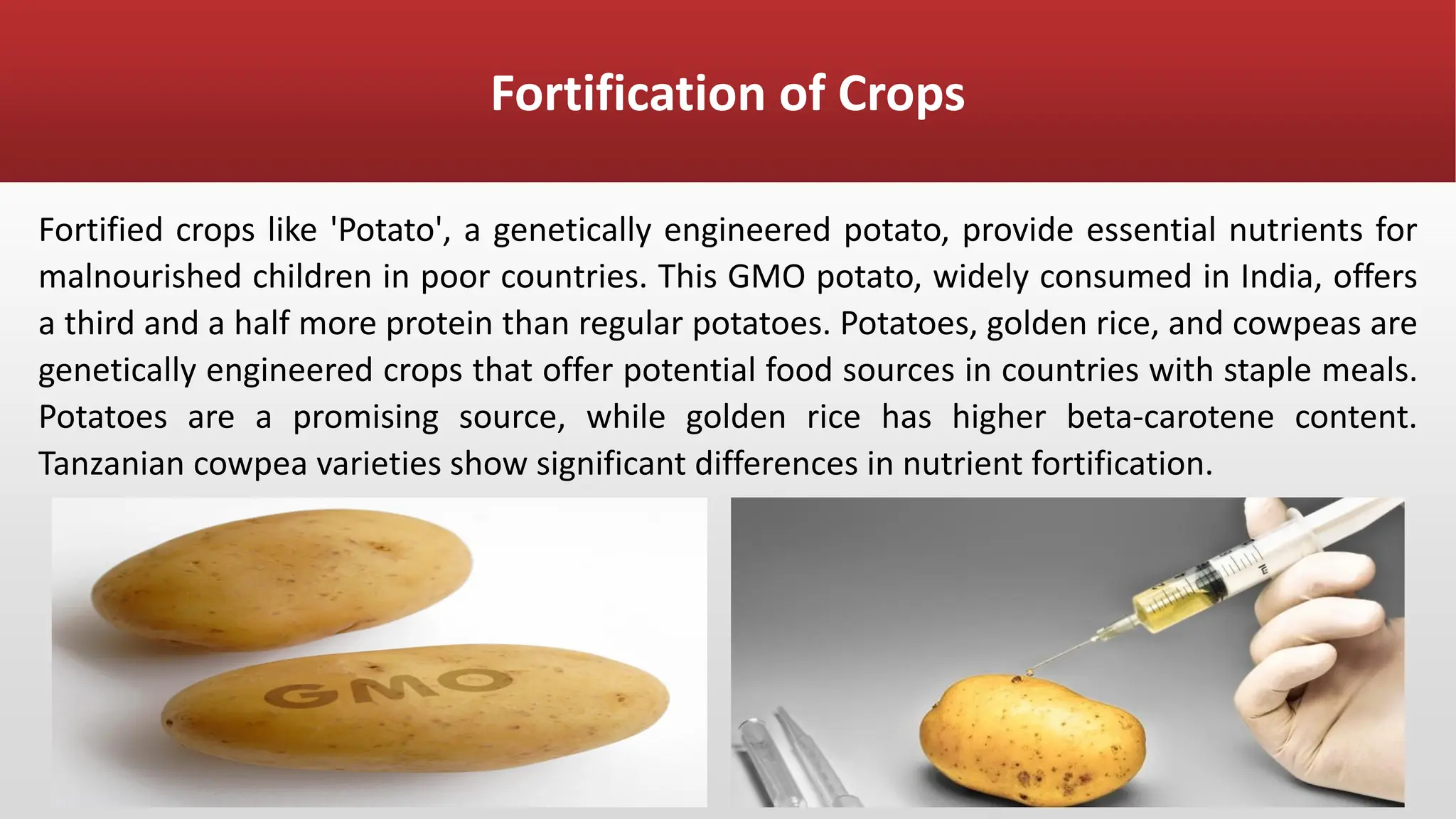 Applications of Biotechnology in Food and Agriculture | PDF