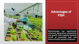 Applications of Biotechnology in Food and Agriculture | PPT