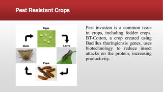 Applications of Biotechnology in Food and Agriculture | PPT