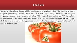 Applications of Biotechnology in Food and Agriculture | PDF