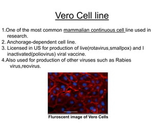 Applications of cell culture | PPTX