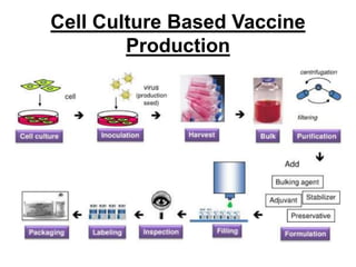 Applications of cell culture | PPTX