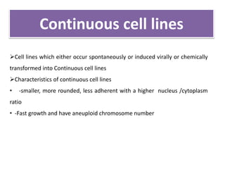 Applications of cell lines | PPTX
