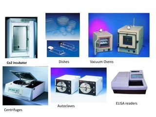 Applications of cell lines | PPTX