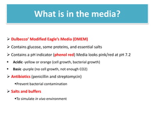 Applications of cell lines | PPTX
