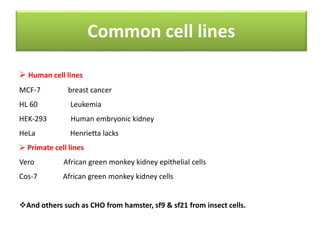 Applications of cell lines | PPTX
