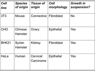 Applications of cell lines | PPTX