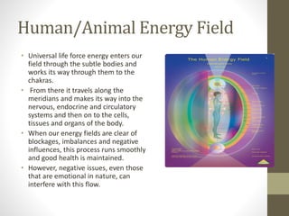 Applications of chroma therapy in veterinary practice | PPTX