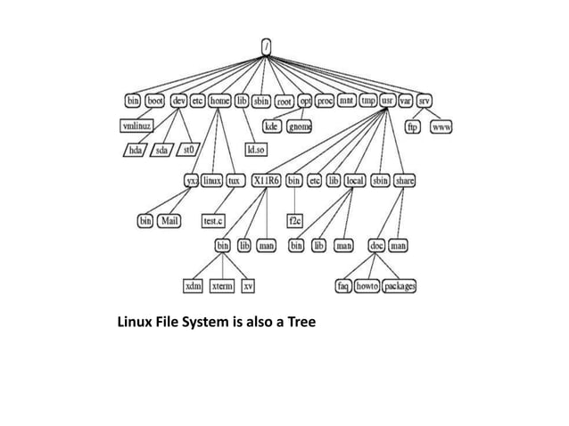 Applications of data structures | PPTX