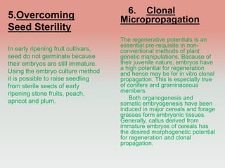 Applications of endosperm culture | PPTX