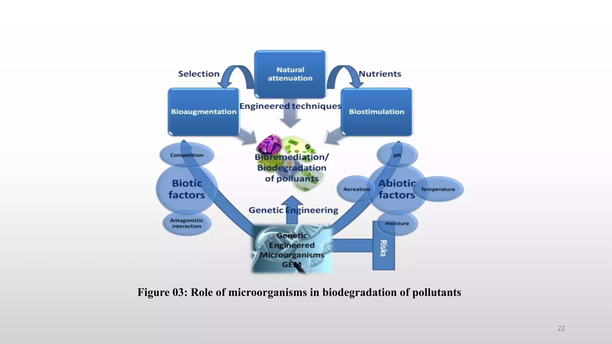 Applications of Environmental Biotechnology | PPTX