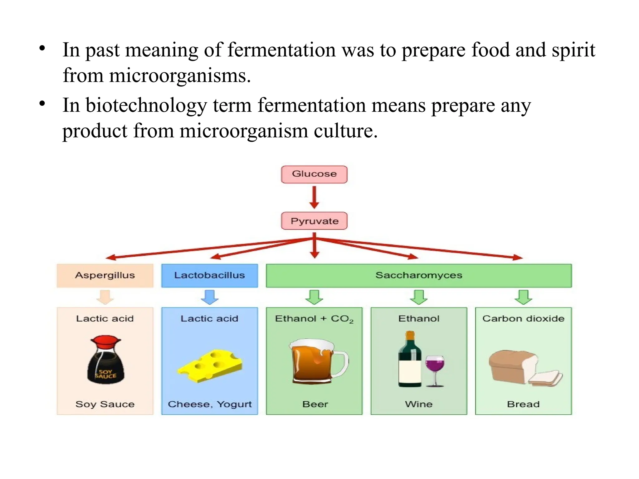 Applications Of Fermentation Pptx Pptx Chemistry Science