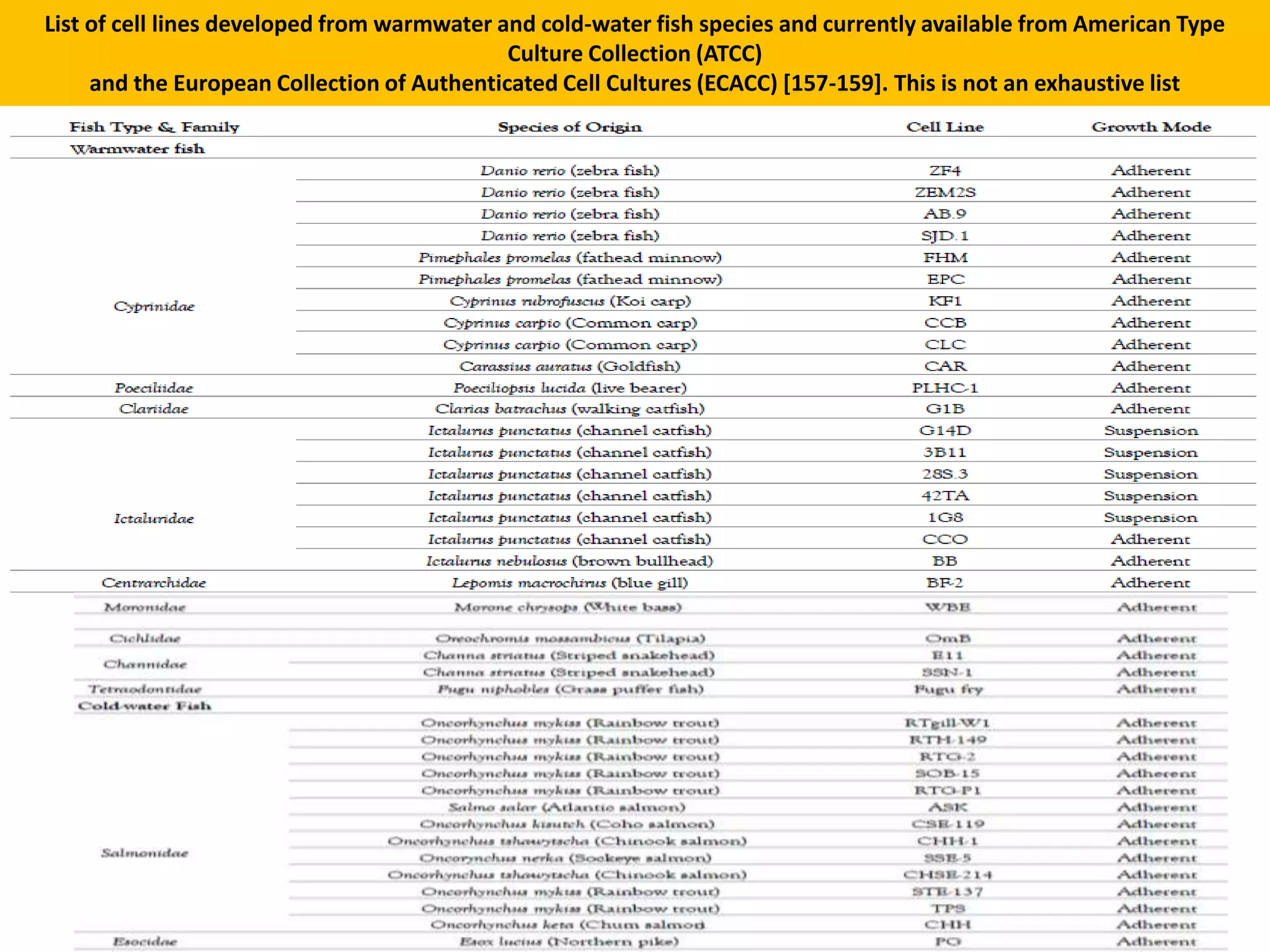 Applications of fish celllines by B.pptx