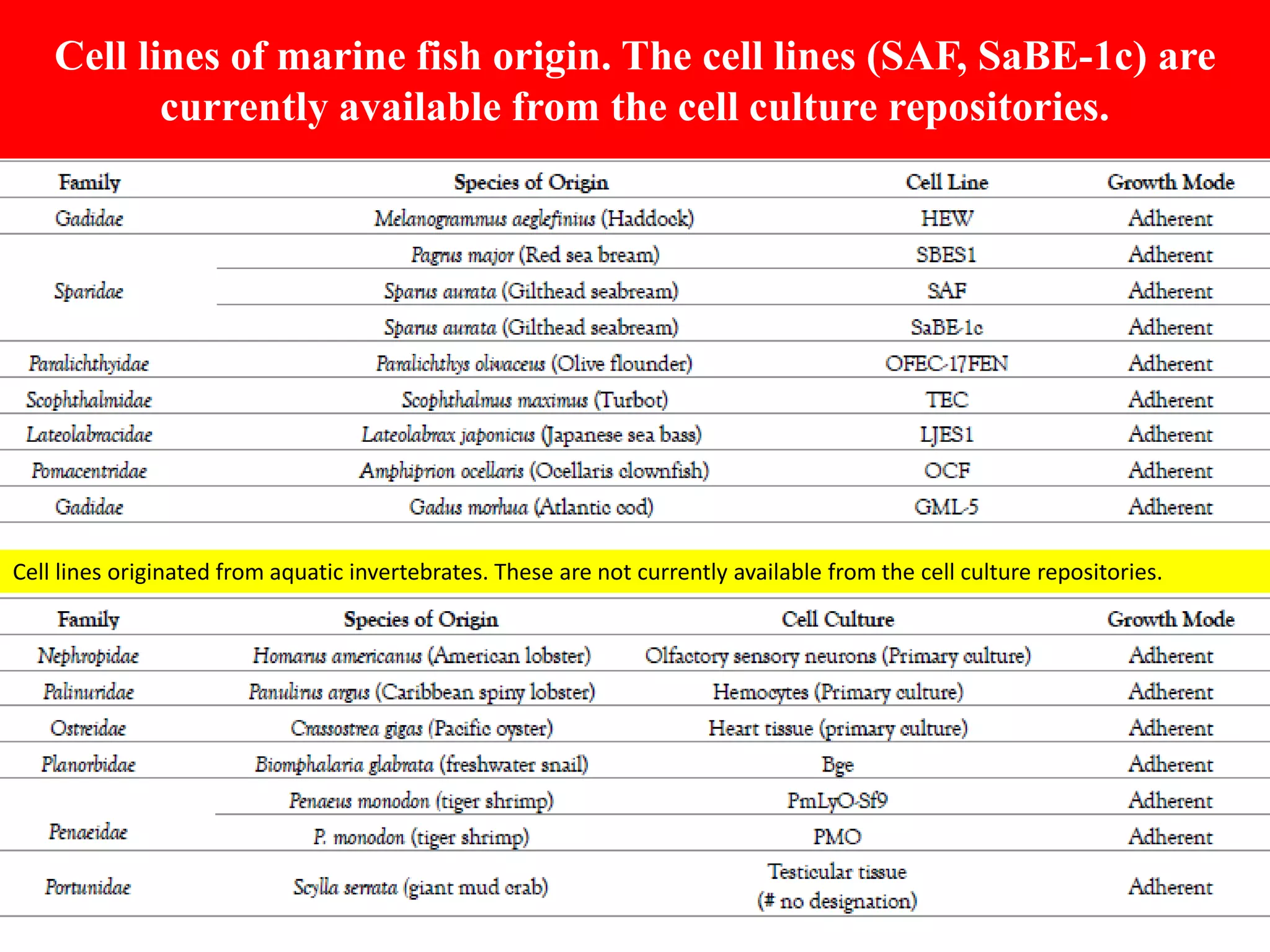 Applications of fish celllines by B.pptx