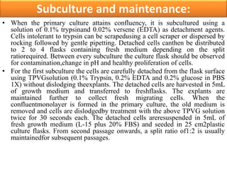 Applications of fish celllines by B.pptx