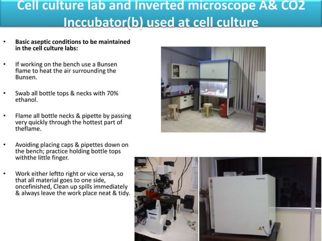Applications of fish celllines by B.pptx