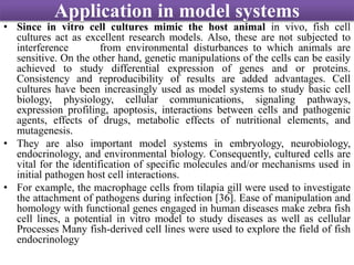 Applications of fish celllines by B.pptx
