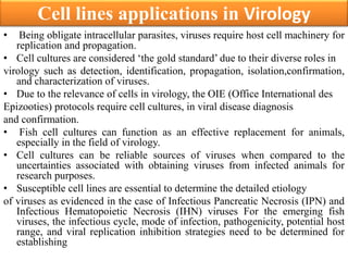 Applications of fish celllines by B.pptx