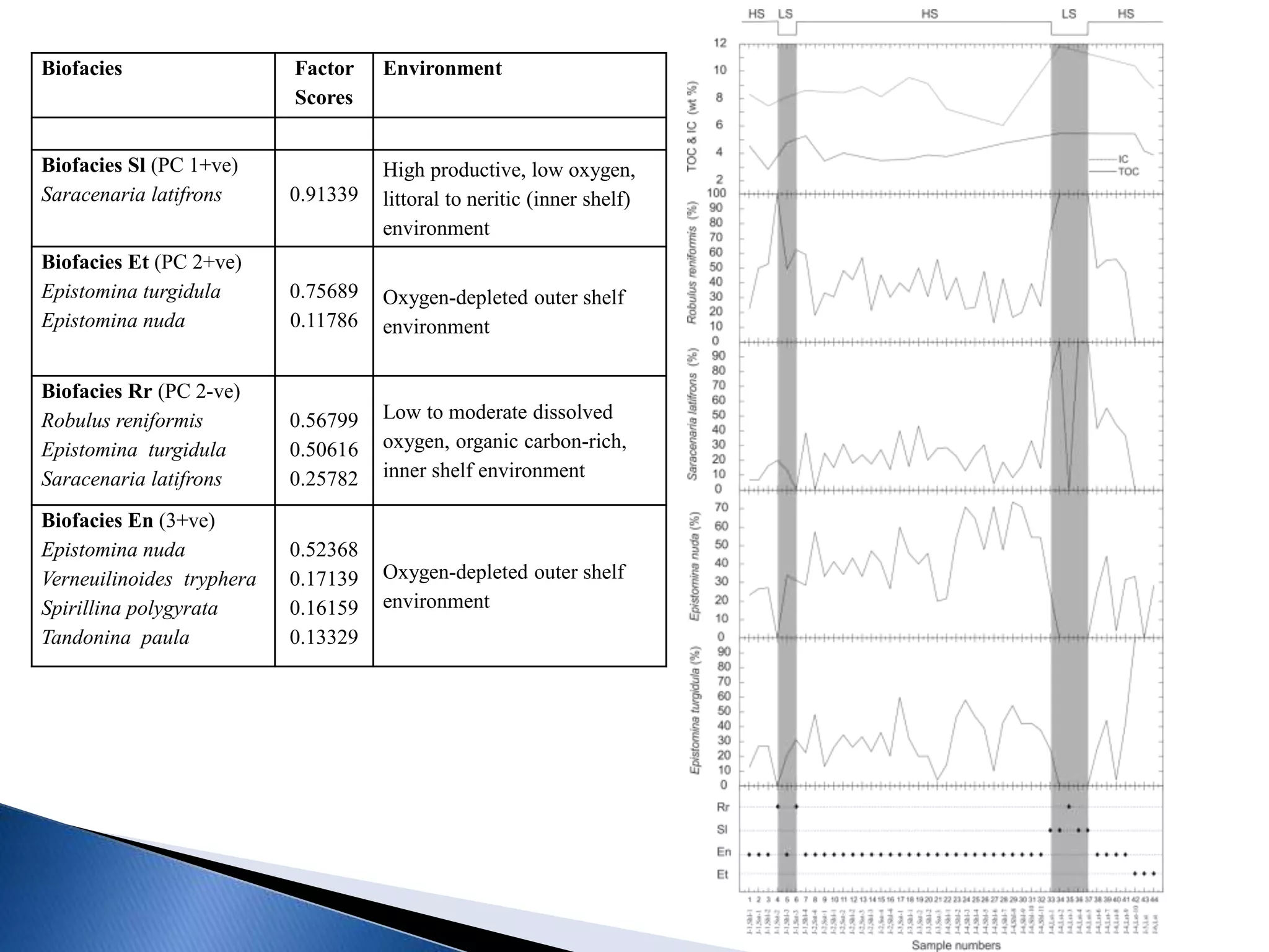 Applications of foraminifera (1).pptx