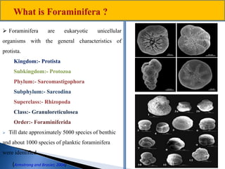 Applications of foraminifera (1).pptx