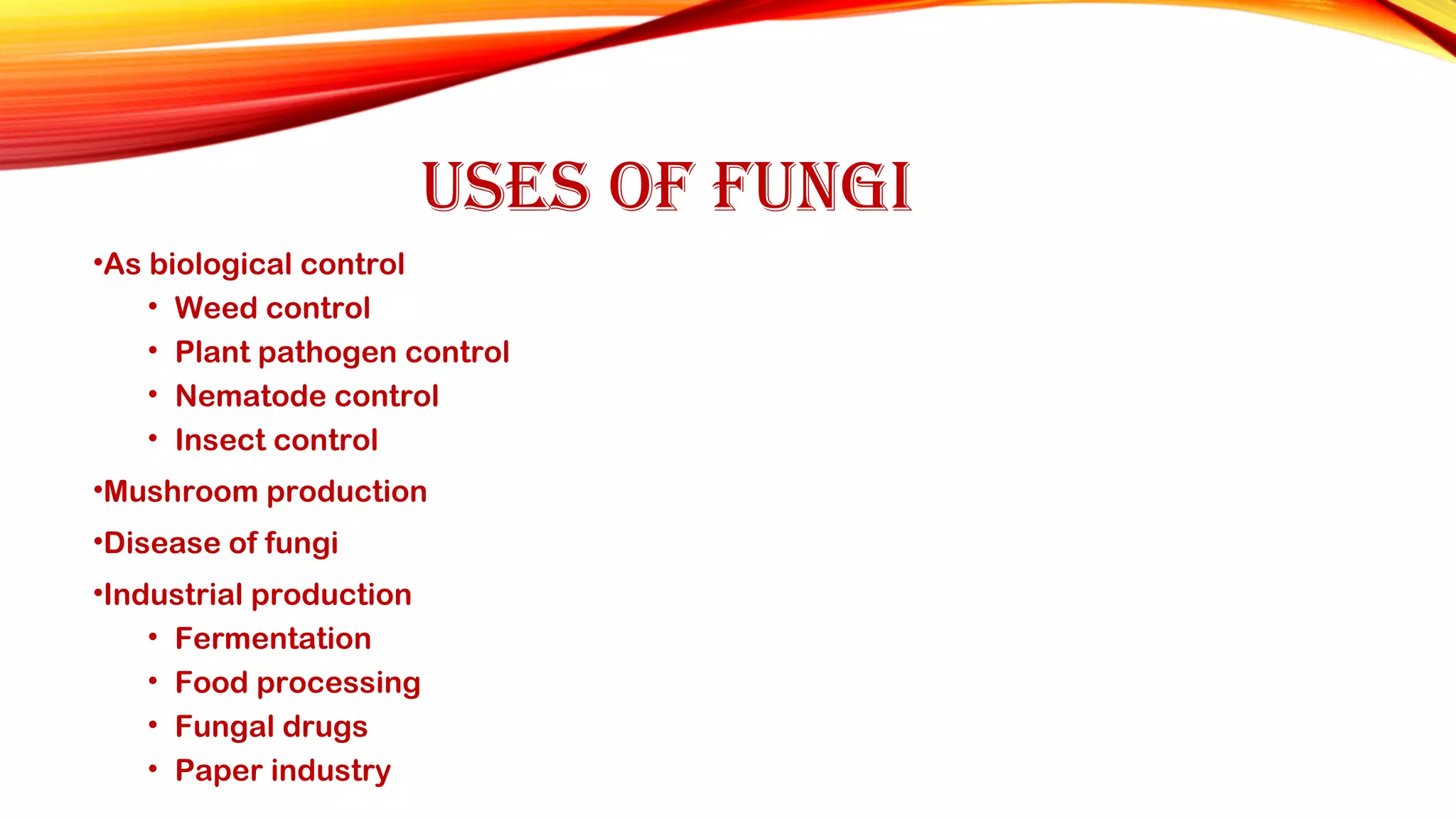 Applications of fungi | PPT