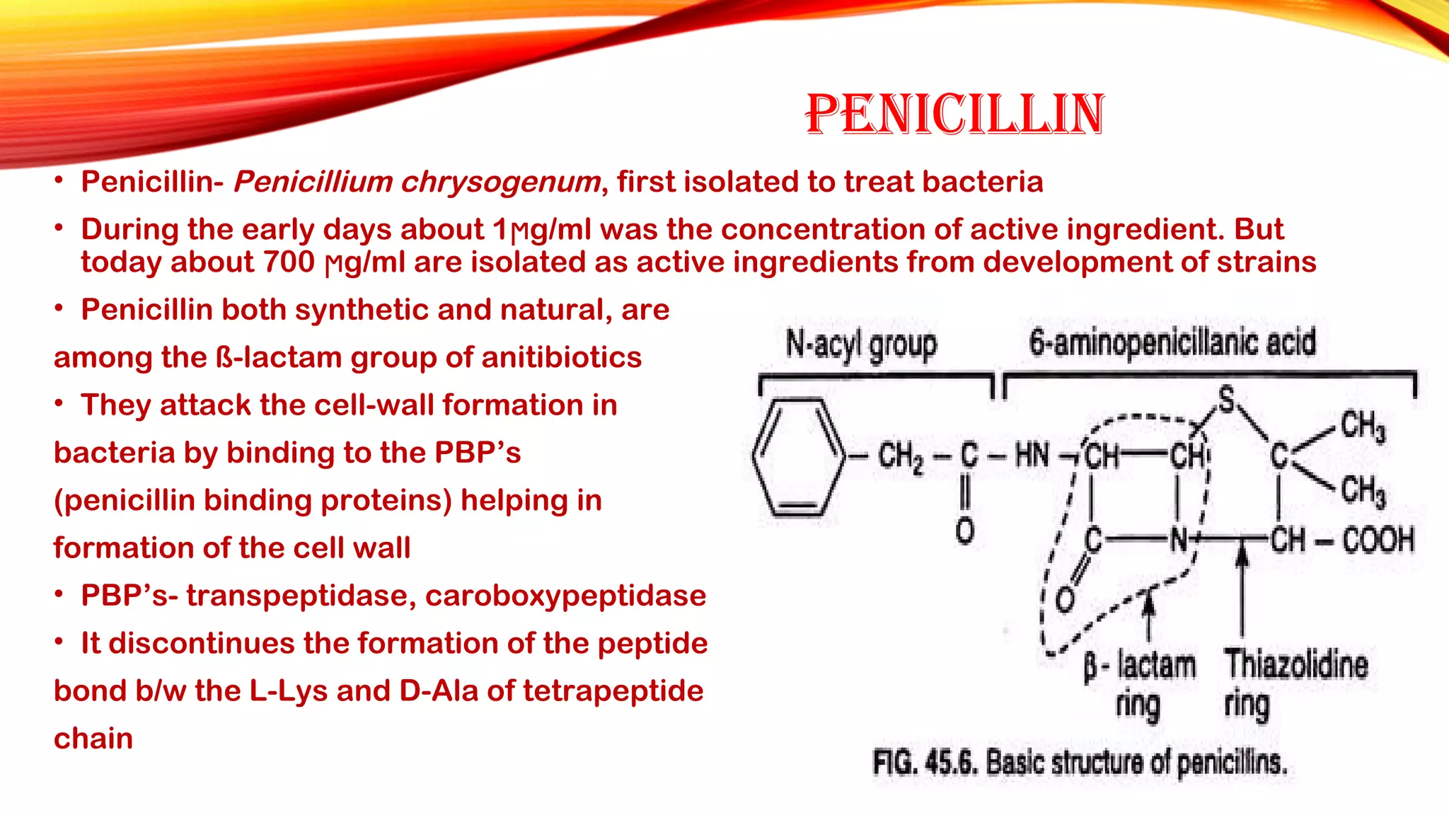 Applications of fungi | PPT