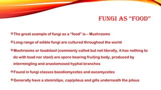 Applications of fungi | PPT